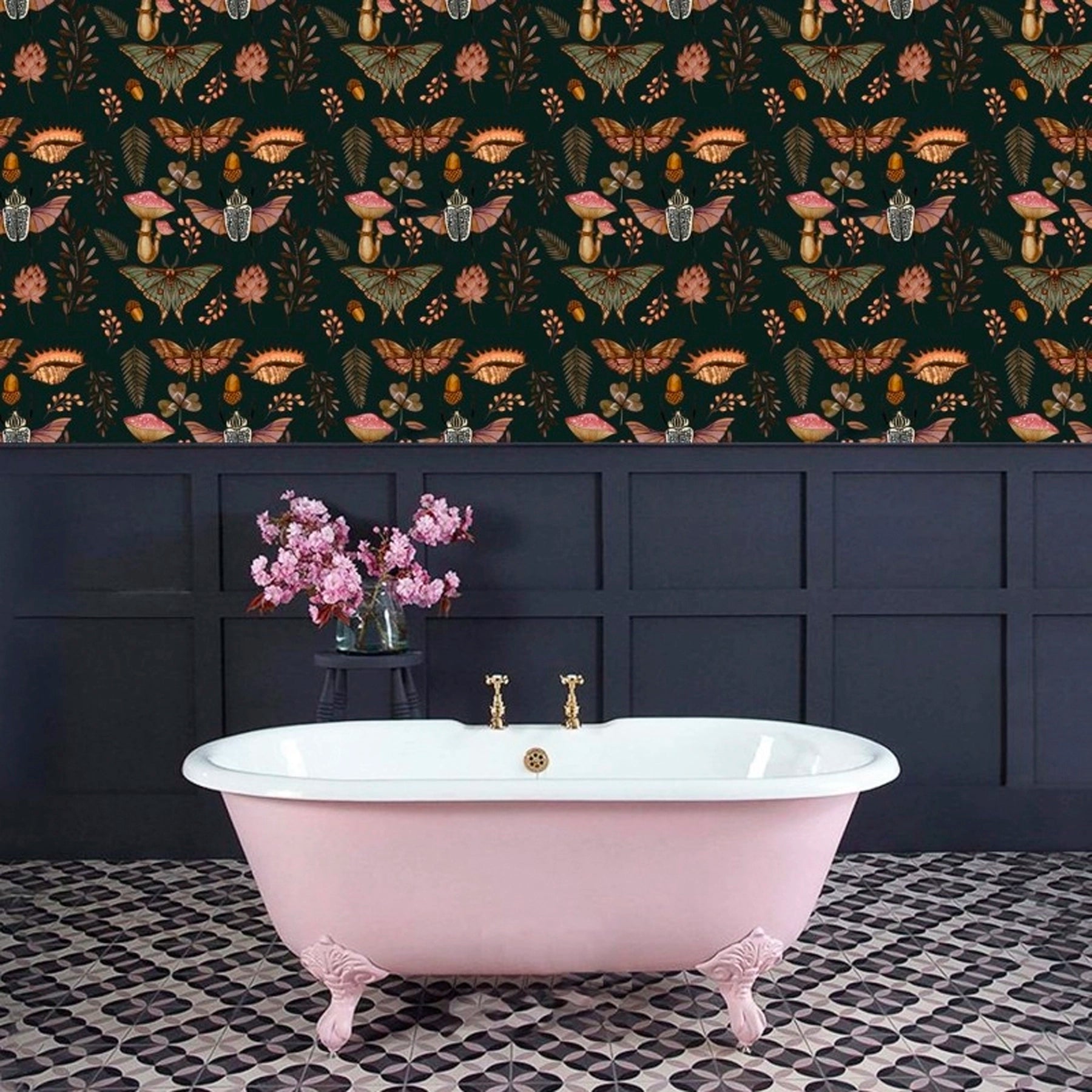 Reino Fungi – Deco Galería