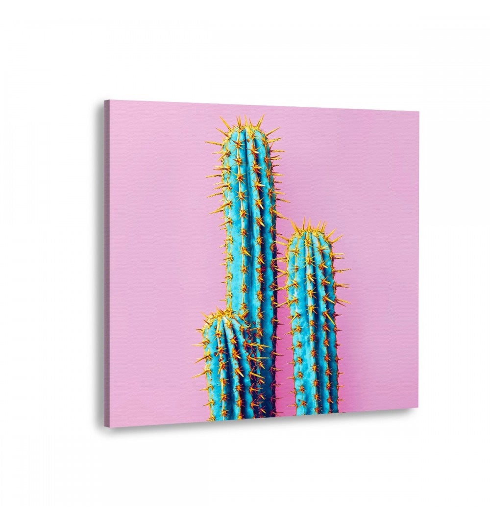 Cactus Pop – Deco Galería